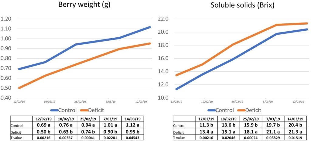 Fig 4 berry weight and brix MLB – Bragato Research Institute