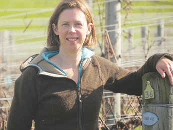 Vine Options for Lighter Wines – Bragato Research Institute