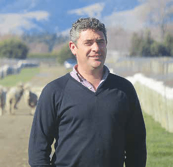 Vine Options for Lighter Wines – Bragato Research Institute