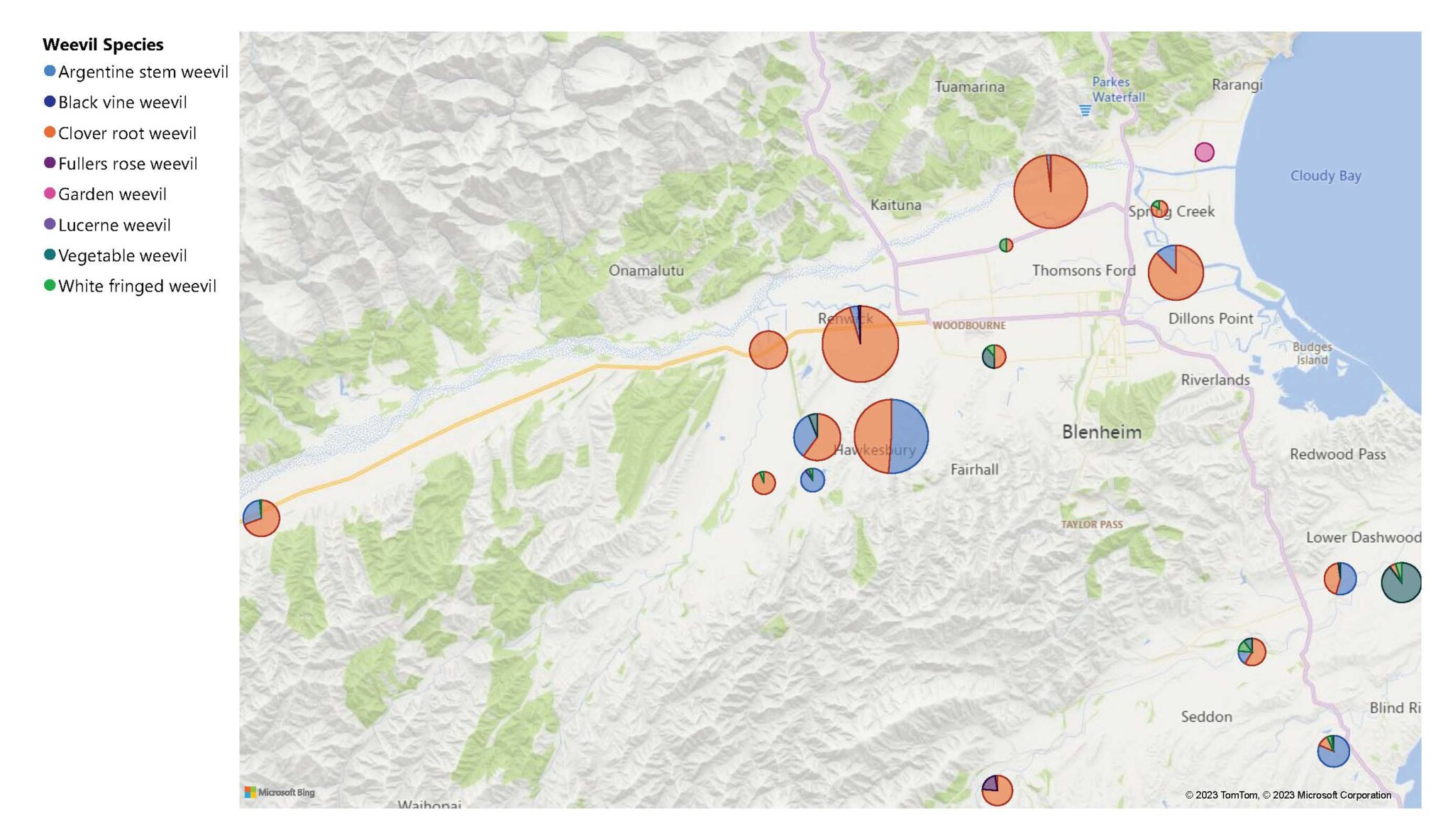 Weevils in New Zealand vineyards – Bragato Research Institute